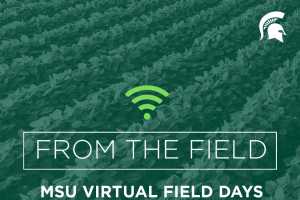 Virtual Field Days