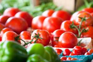 Menus and Variety - SNAP-Ed