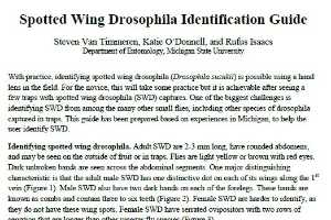 Spotted Wing Drosophila Identification Guide - Integrated Pest Management
